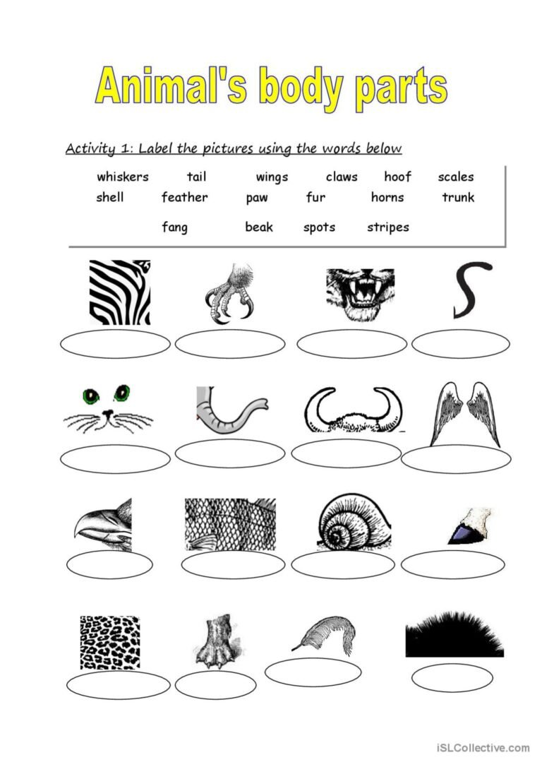 Animal Body Parts Worksheets - Worksheets Day