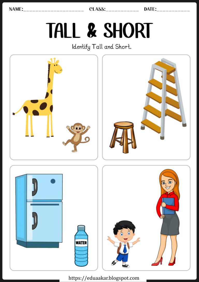 Free Printable Sizes Worksheets - Worksheets Day