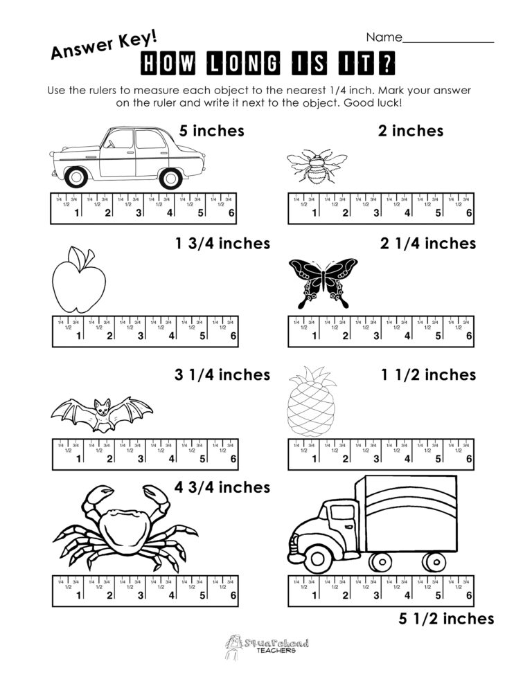 Measurement Worksheets - Worksheets Day